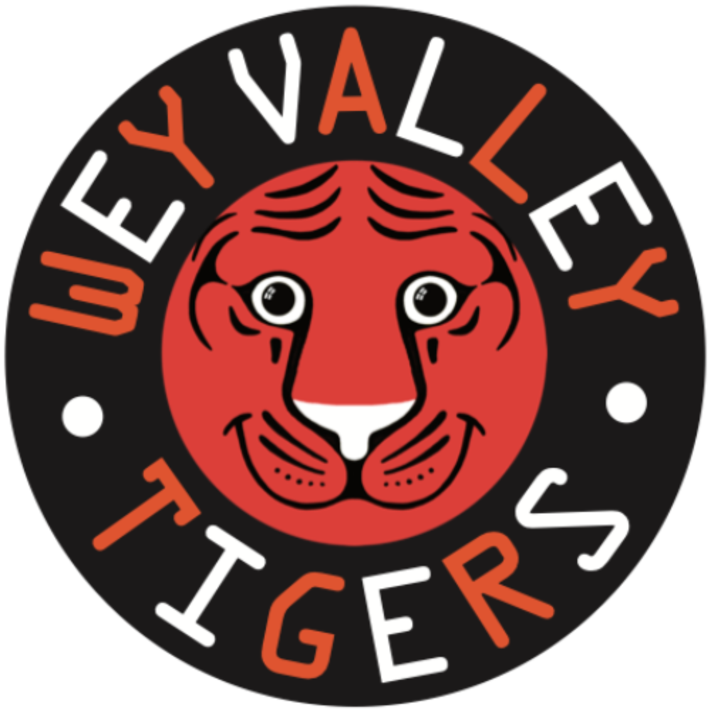 Wey Valley Netball Club – Junior Club for Girls aged 10-16 in Guildford ...